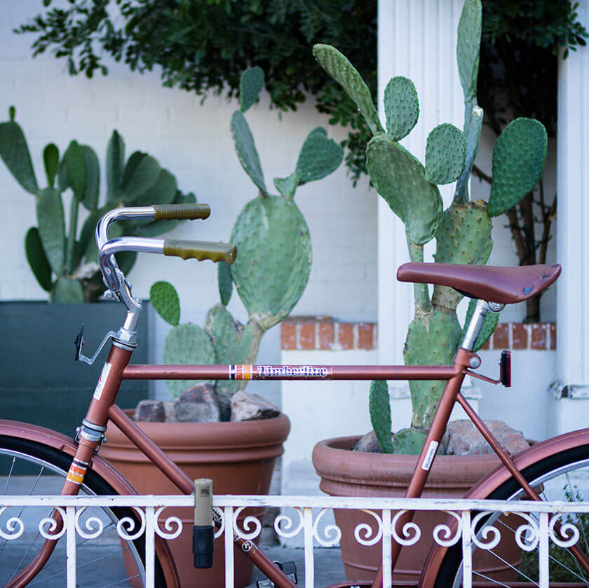 Our Team - The Haven